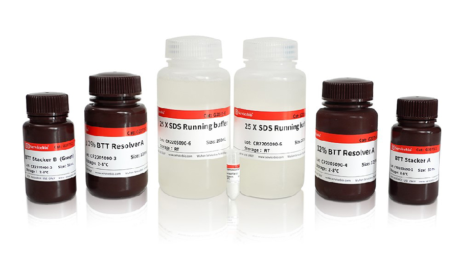 Наборы реагентов для заливки гелей 8%, 10% или 12% BTT SDS-PAGE ...