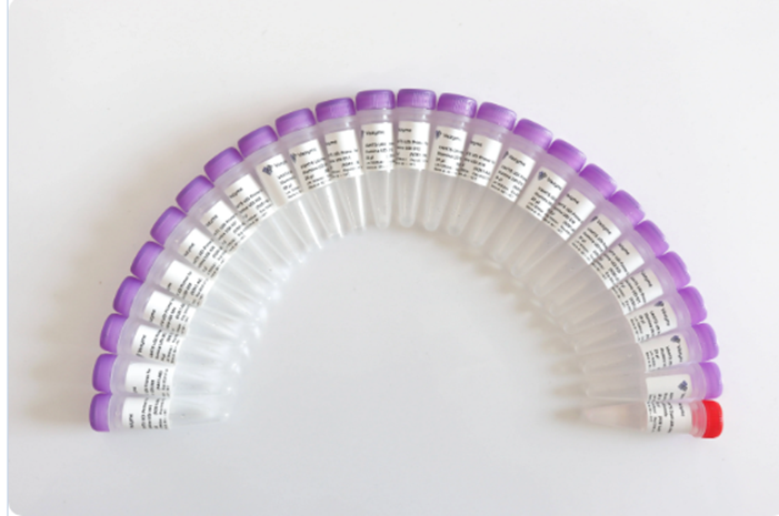 Набор индексированных праймеров и адаптеров для подготовки NGS ...