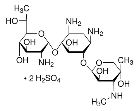 Генетицин G418 дисульфат, 98 %, для биохимии, neoFroxx - купить в Москве для лаборатории. Есть ...