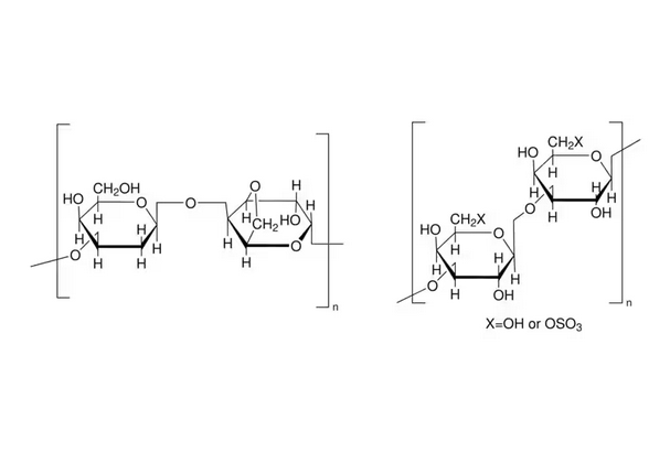 Агар для микробиологии, neoFroxx - купить в Москве для лаборатории. Есть всё! | Диаэм