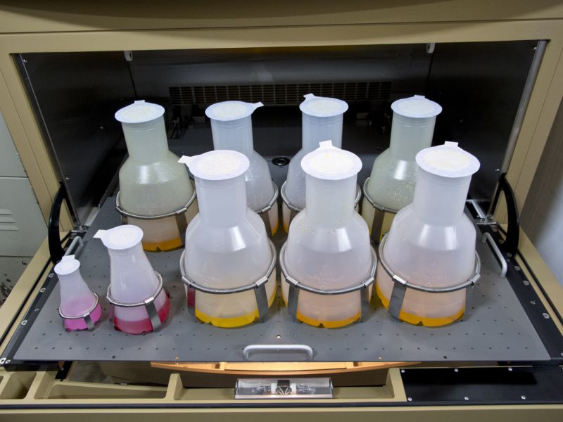 Колба Эрленмейера доступна к заказу в интернет-магазине Диаэм с доставкой.