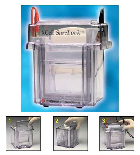 Электрофорезная вертикальная камера XCell SureLock Mini-Cell, 8х8 см, 2 ...